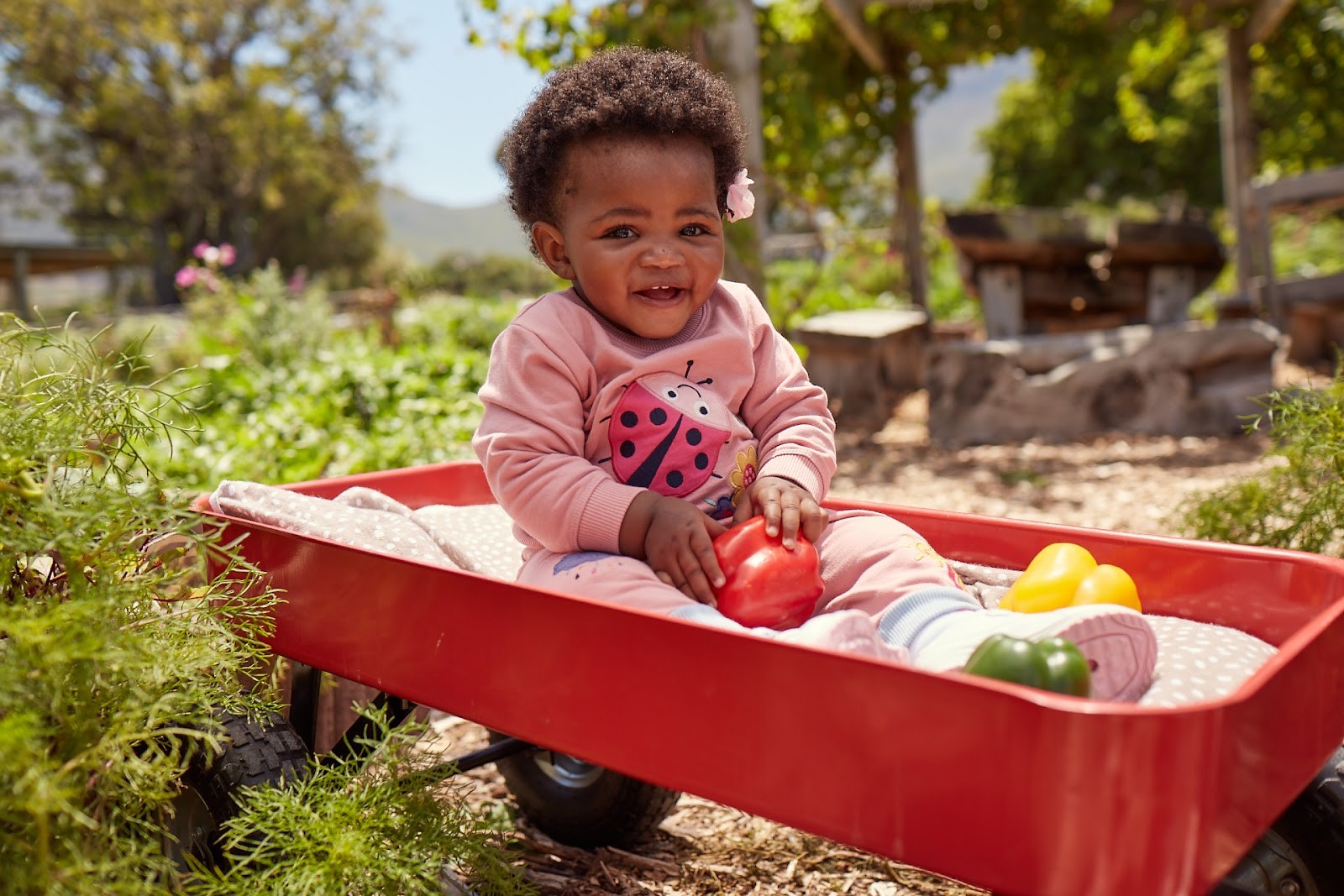 Ackermans brings two top internationally sustainable kids brands to SA ...